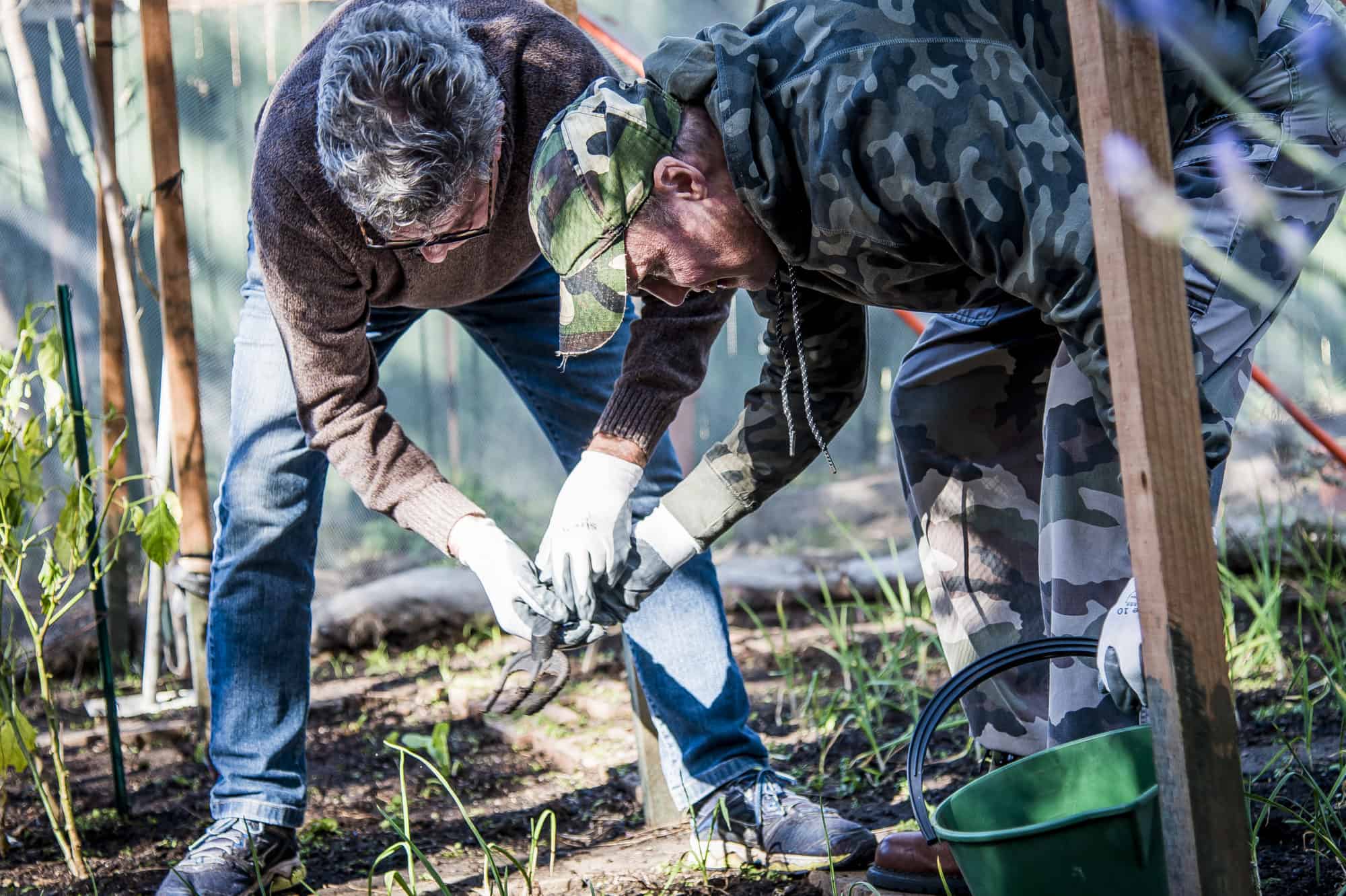 Green Warriors join millions to reduce plastic waste - Civic